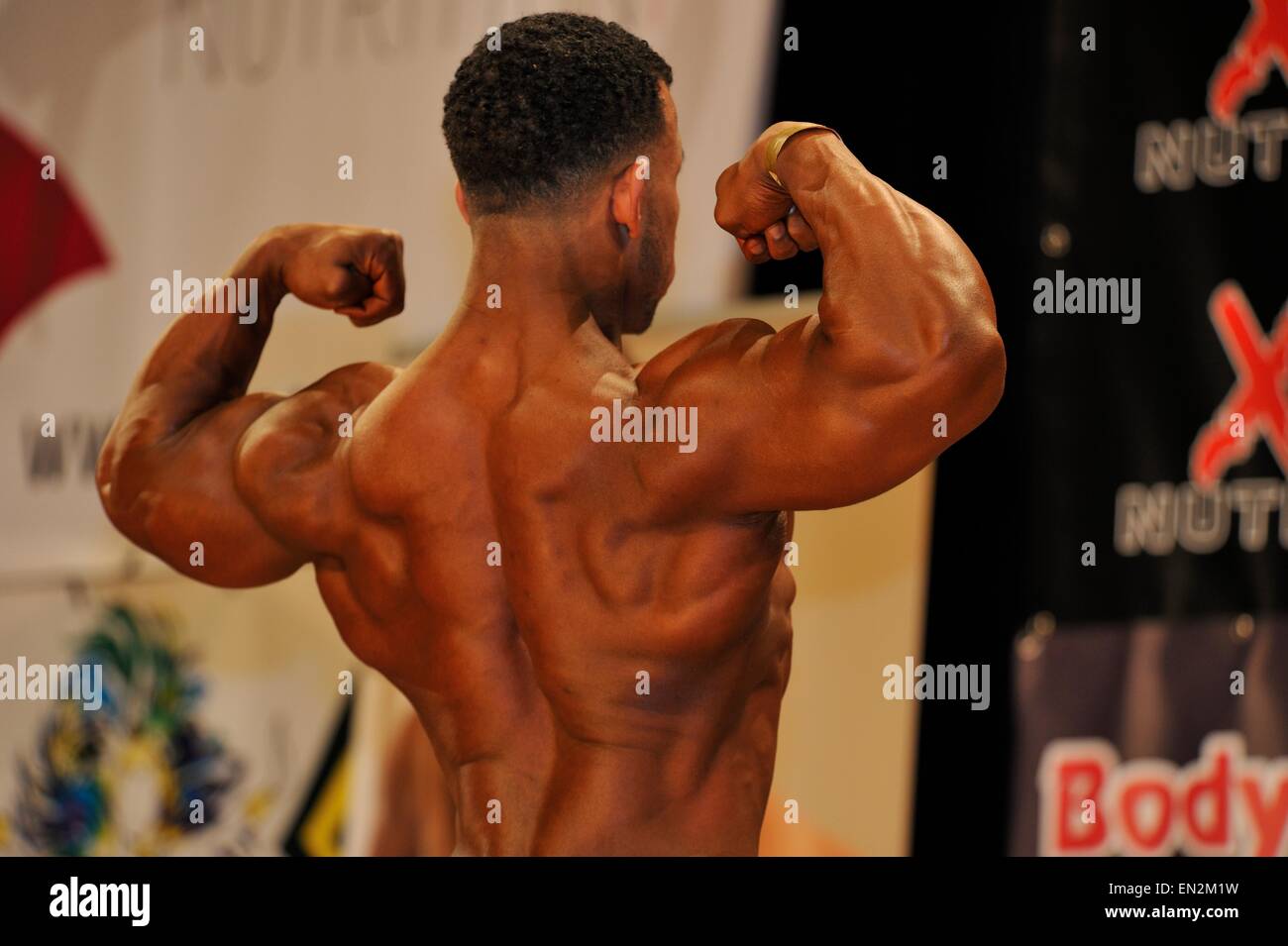 Schiedam, the Netherlands. 26th April, 2015. Male bodybuilder showing ...