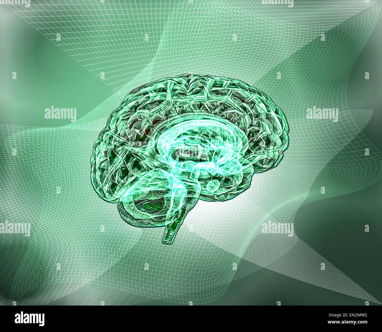 Model project hi-res stock photography and images - Alamy