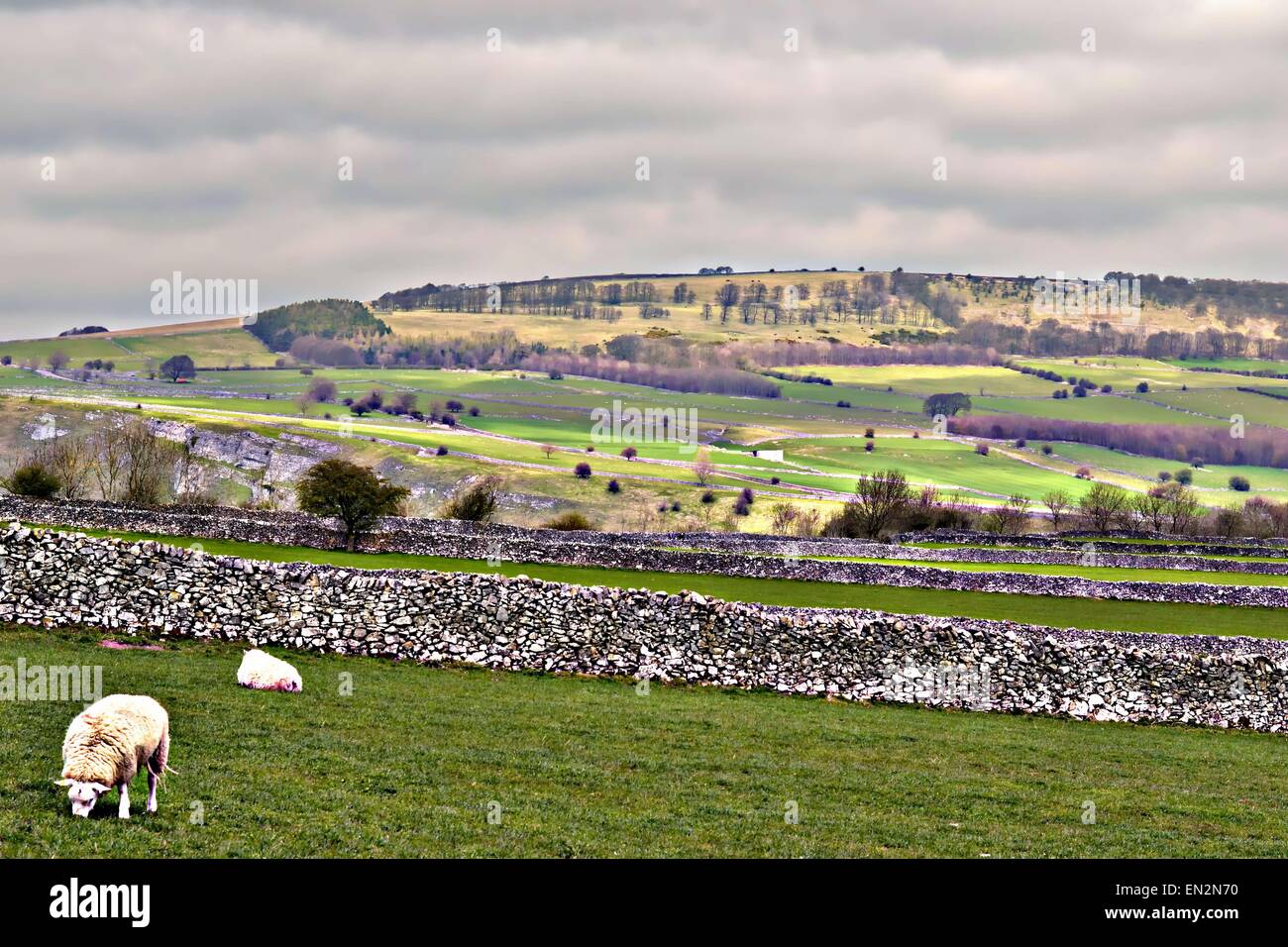 Landscapes with animals hi-res stock photography and images - Alamy