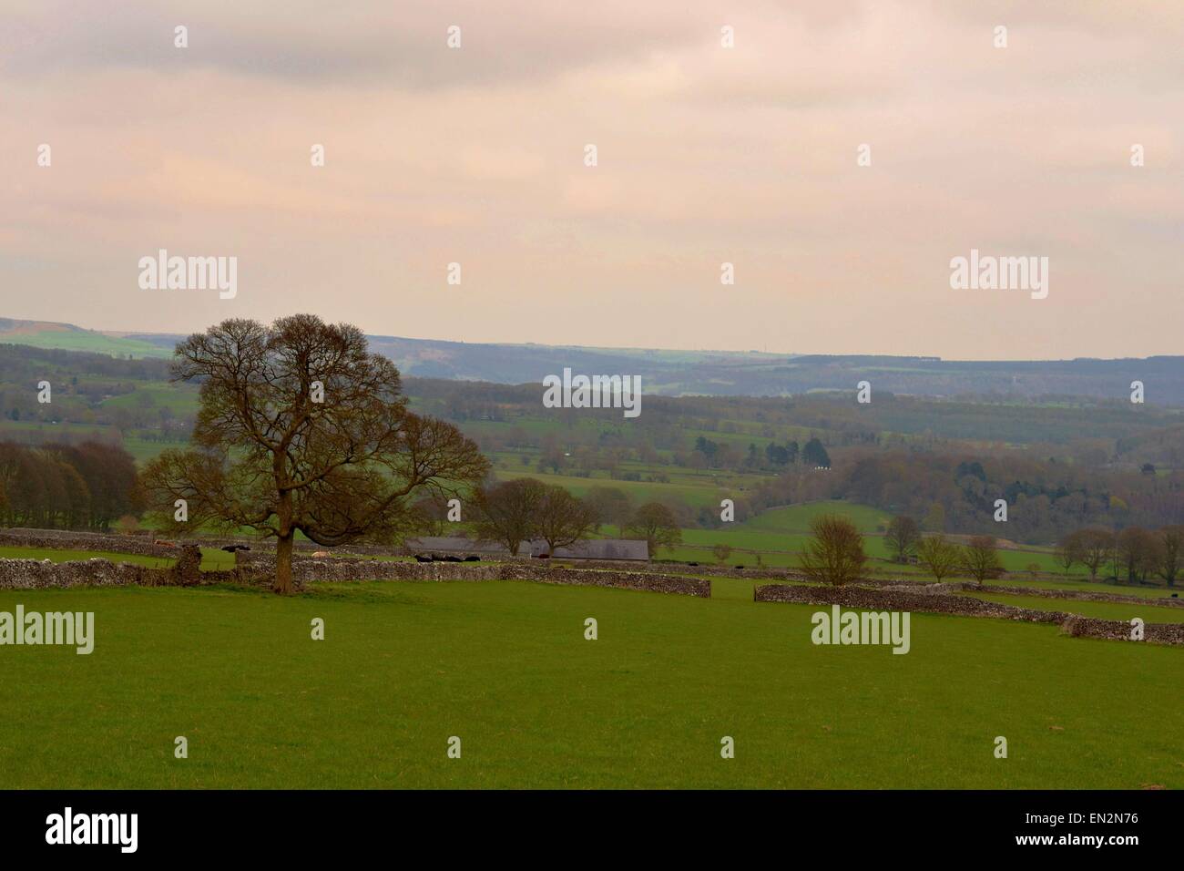 Uk rural landscapes hi-res stock photography and images - Alamy