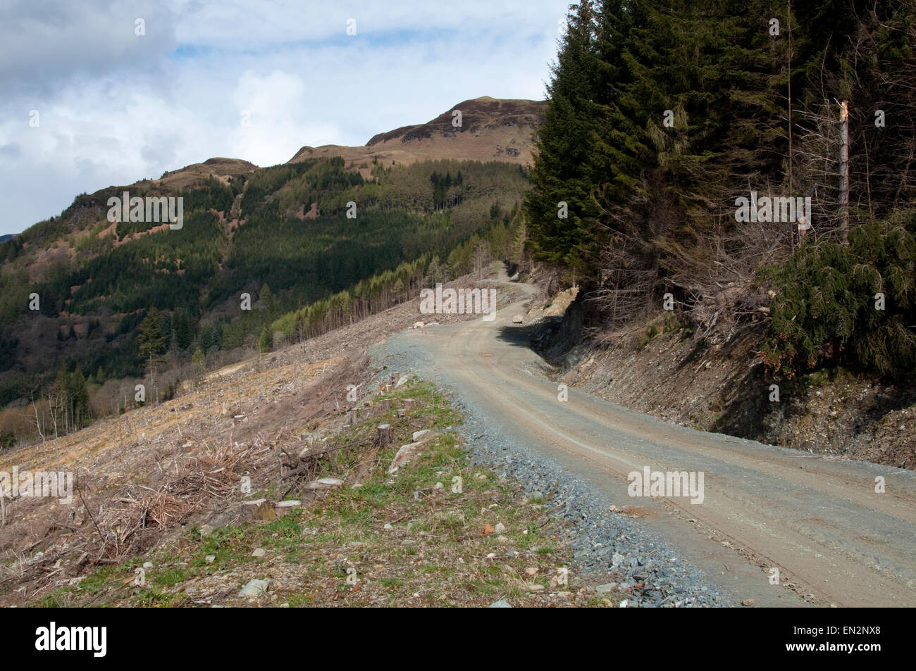 Forestry path on the hillside above Loch Lubnaig. Trossachs National ...