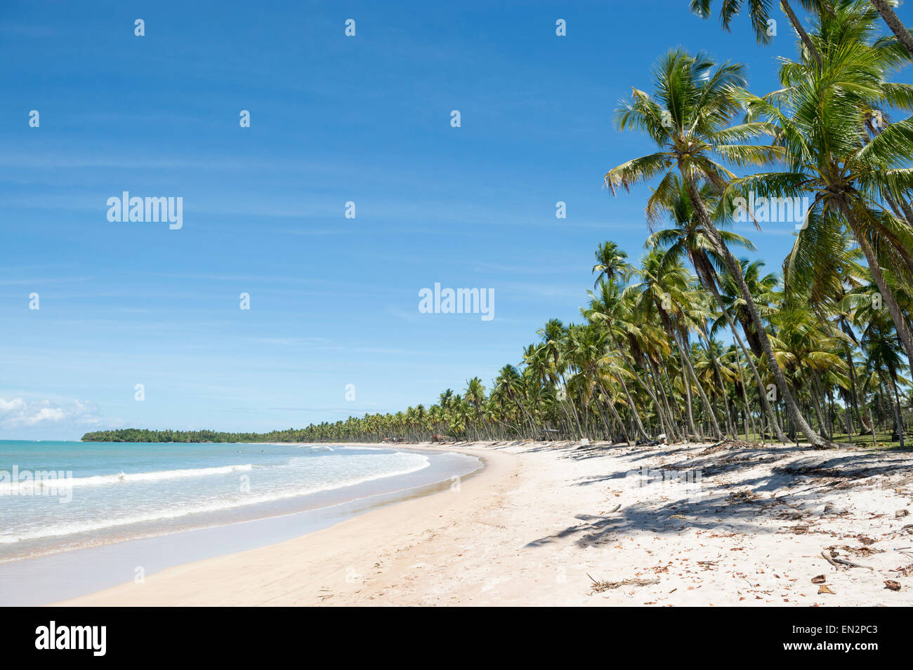 Palm trees on wide remote tropical Brazilian island beach in Bahia ...