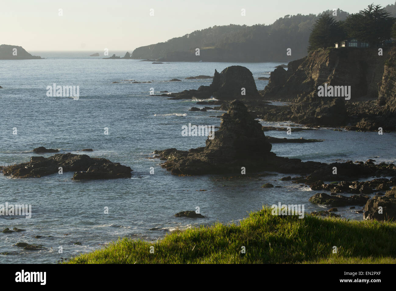 Cliff overlooking the Pacific Ocean Stock Photo - Alamy