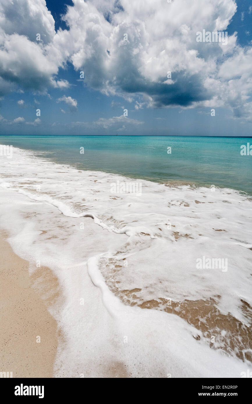 Pink Sand Beach, Barbuda, Leeward Islands, Caribbean Stock Photo - Alamy