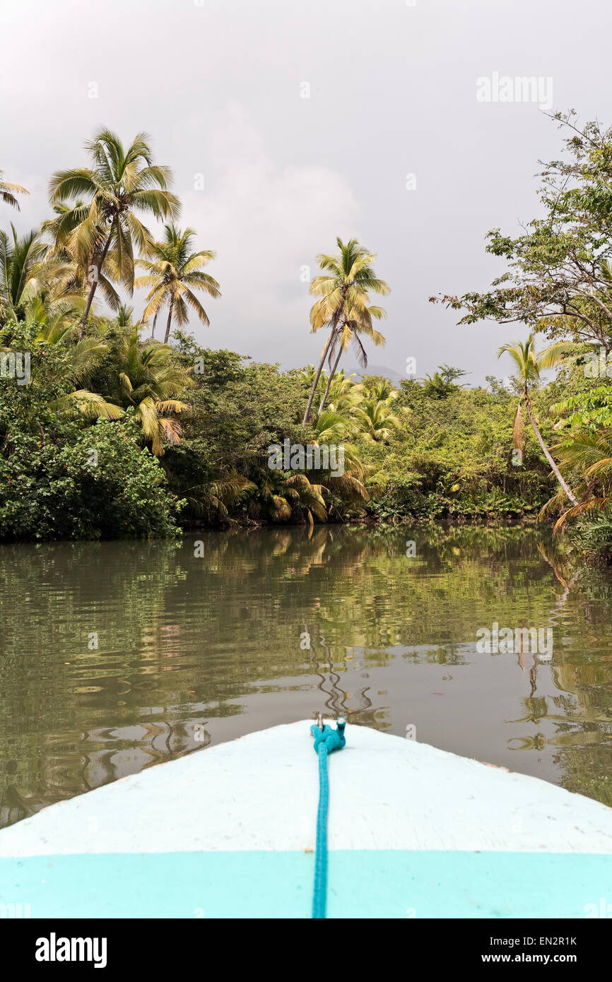 Indian River, Dominica Stock Photo - Alamy