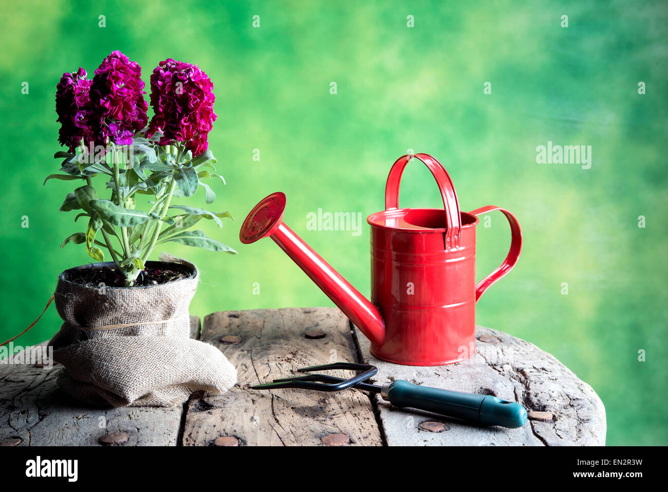 Floriculture gardening hi-res stock photography and images - Alamy