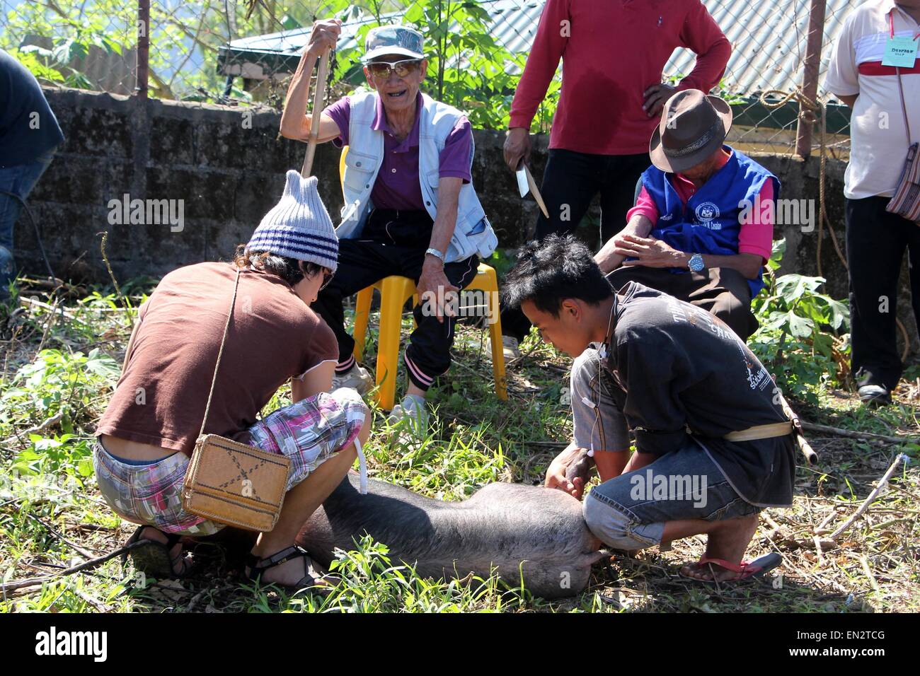 Benguet Province Stock Photos & Benguet Province Stock Images - Alamy
