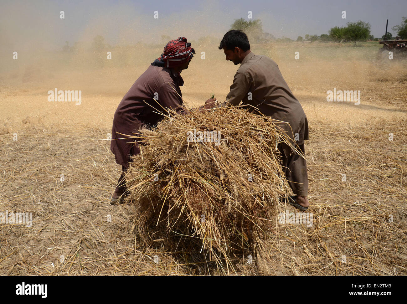 Lahore, Pakistam. 26th Apr, 2015. Pakistani farmer's family busy in ...