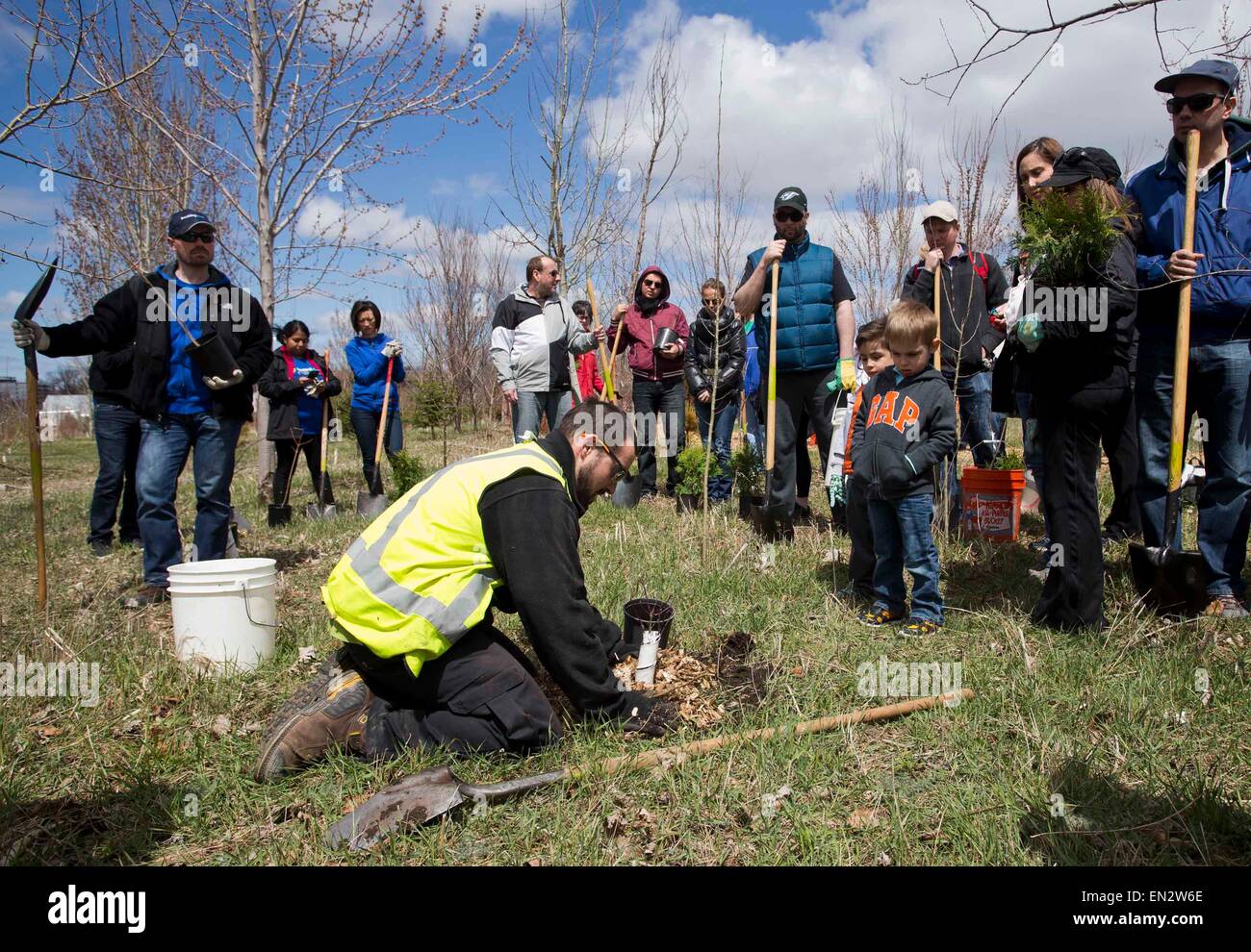 Toronto, Canada. 26th Apr, 2015. A worker (front) shows how to plant a ...
