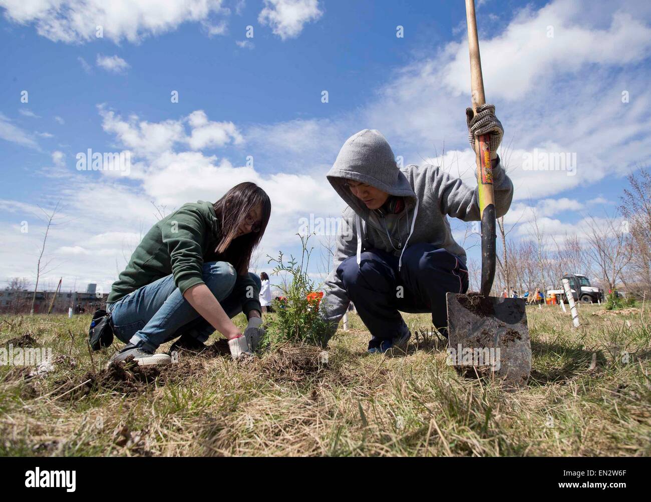 Ontario tree planting hi-res stock photography and images - Alamy