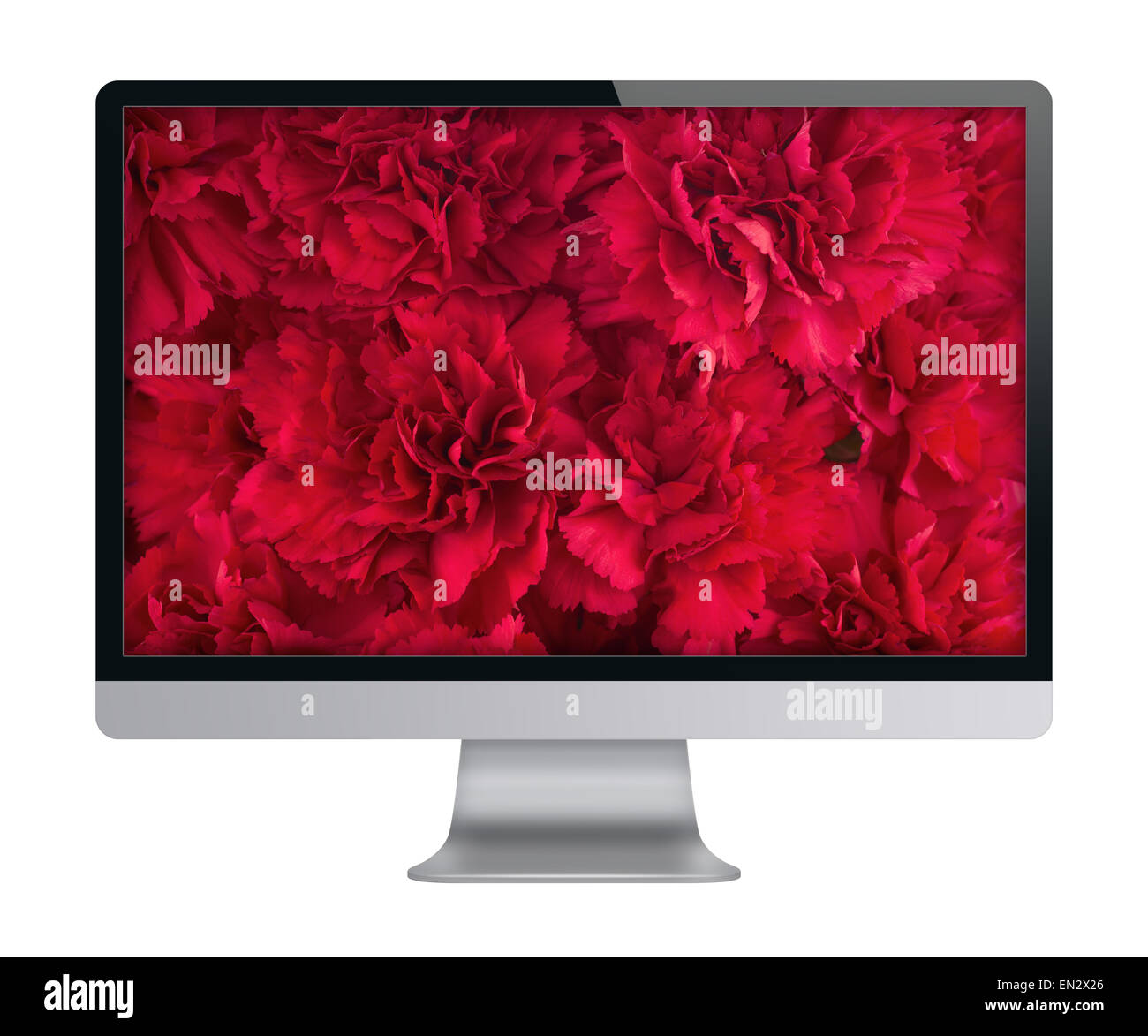 Computer display with bouquet of red carnation flowers on screen. Front ...