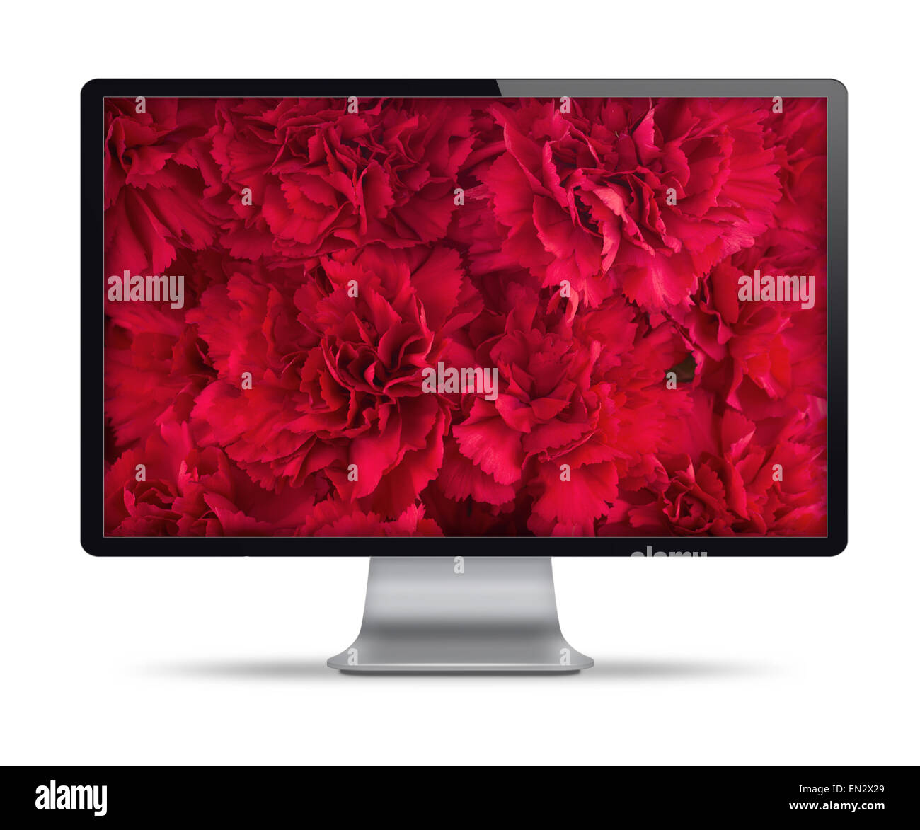 Computer display with bouquet of red carnation flowers on screen. Front ...
