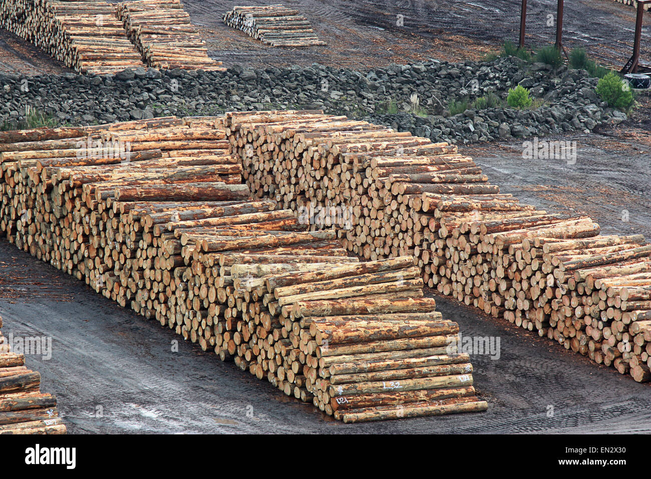 Timber yard hi res stock photography and images Alamy