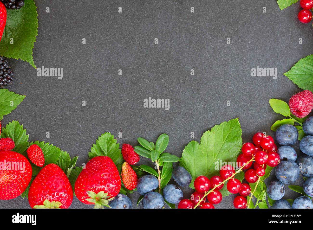 frame of fresh berries Stock Photo - Alamy