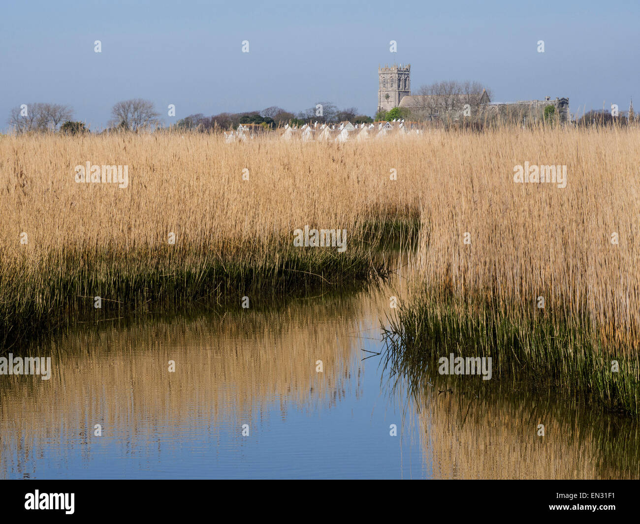 Reed Beds in Stanpit Marsh Nature Reserve with Christchurch Priory in ...