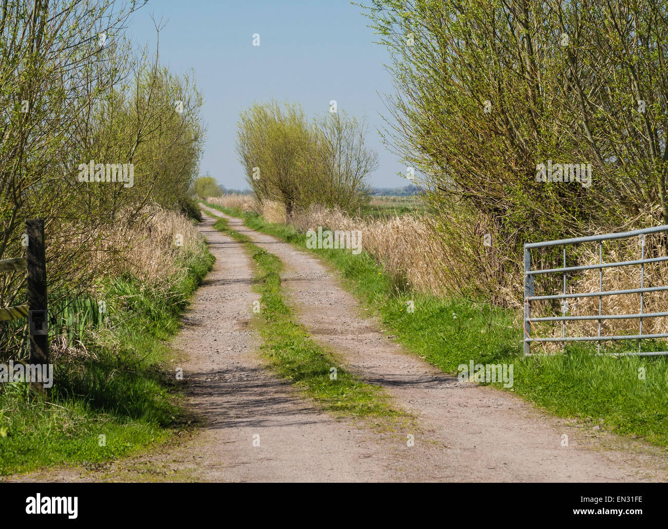 Track in farmland, Somerset, England, UK Stock Photo - Alamy