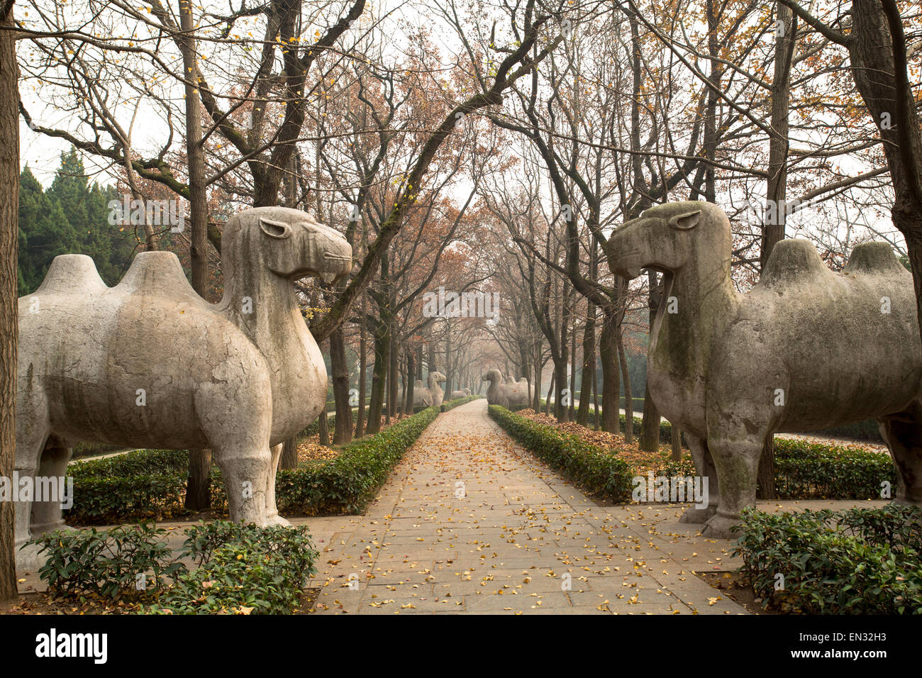 Spirit way hi-res stock photography and images - Alamy