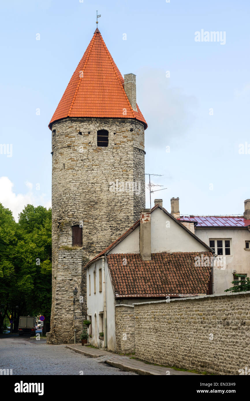 Plate Tower, a tower of the medieval defensive town walls, of Tallinn ...