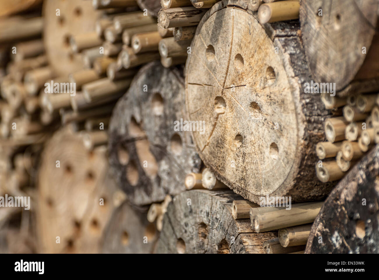A natural housing for many species of insect from bees to bugs Stock ...