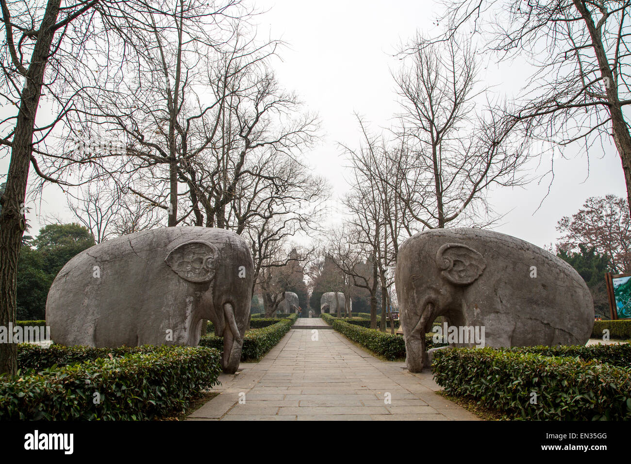 Elephant road hi-res stock photography and images - Alamy