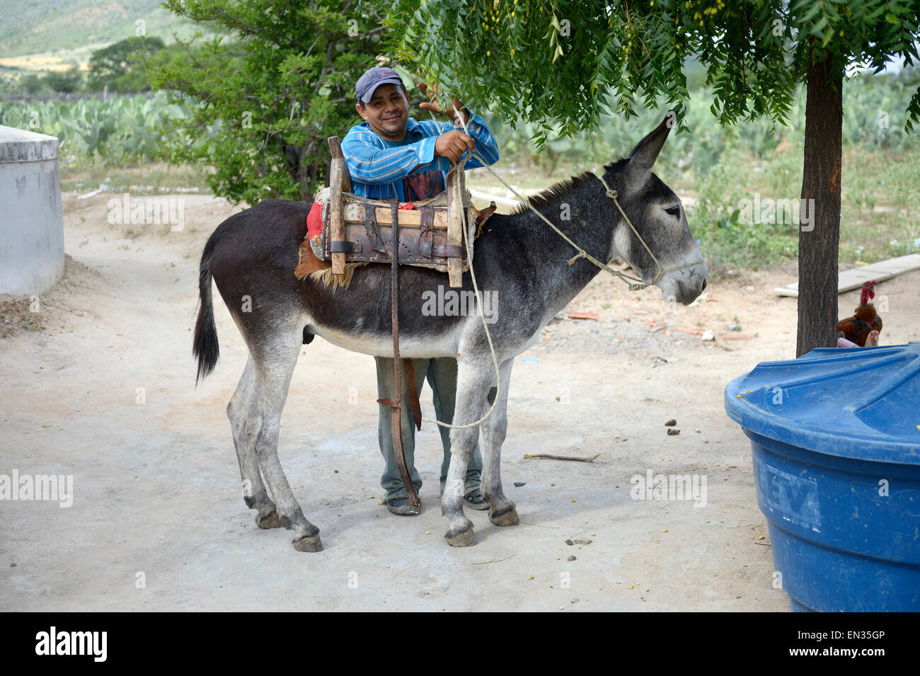 The Man With The Donkey High Resolution Stock Photography and Images ...