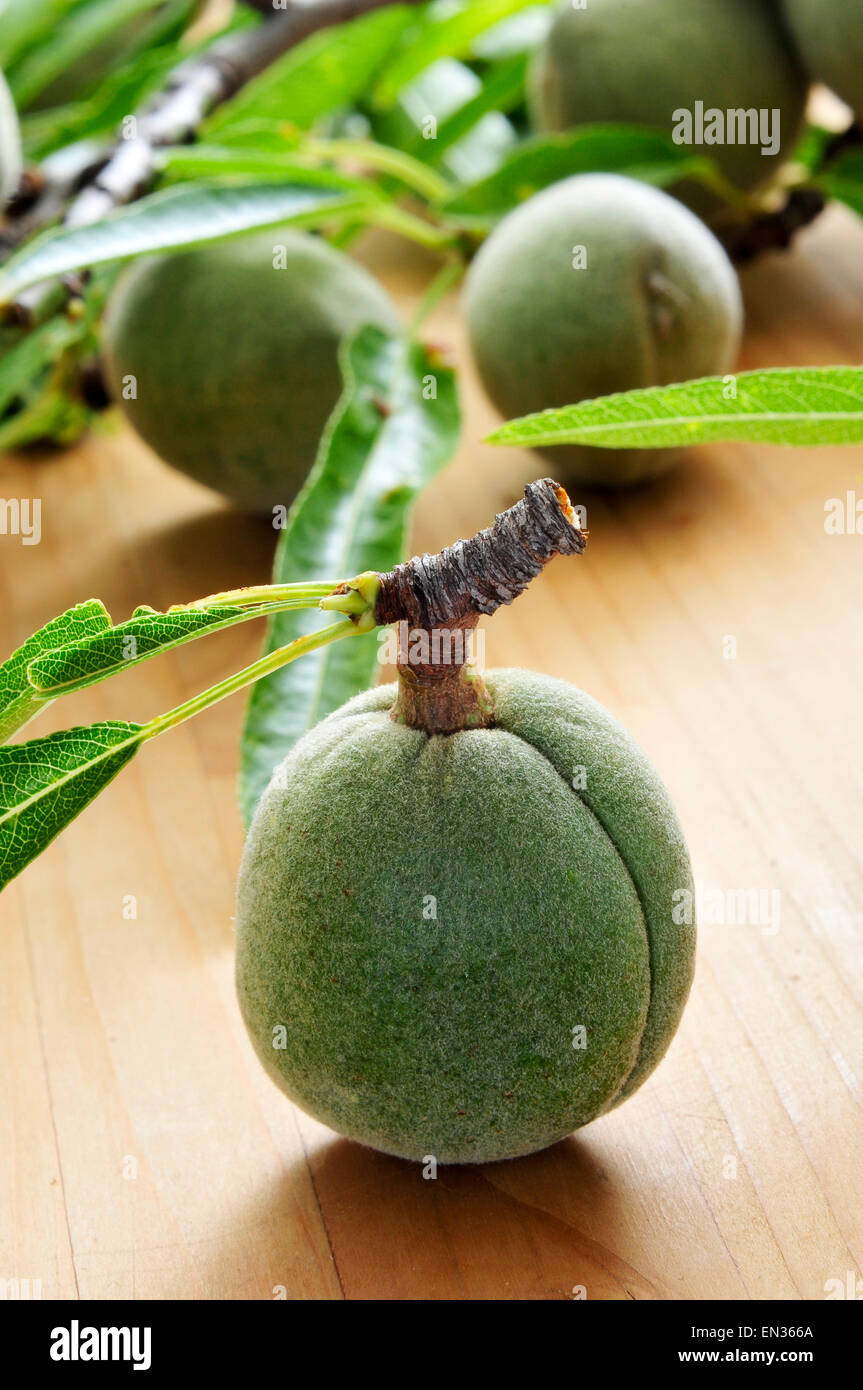 some twigs of almond tree with green almonds on a wooden table Stock ...
