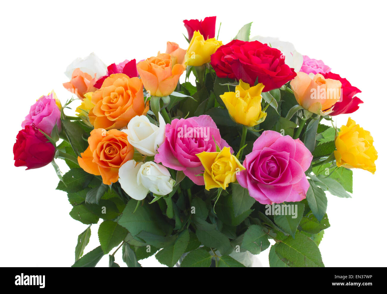 bouquet of fresh roses Stock Photo - Alamy