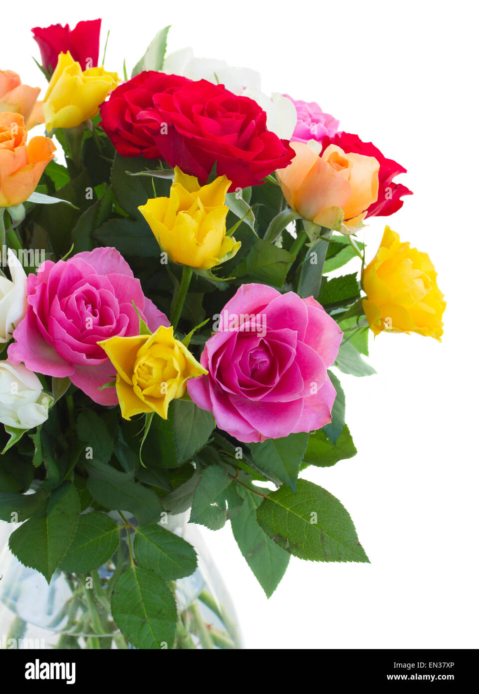 bouquet of fresh roses Stock Photo - Alamy