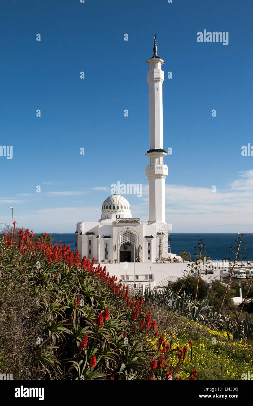 King fahd bin abdulaziz al saud mosque hi-res stock photography and ...