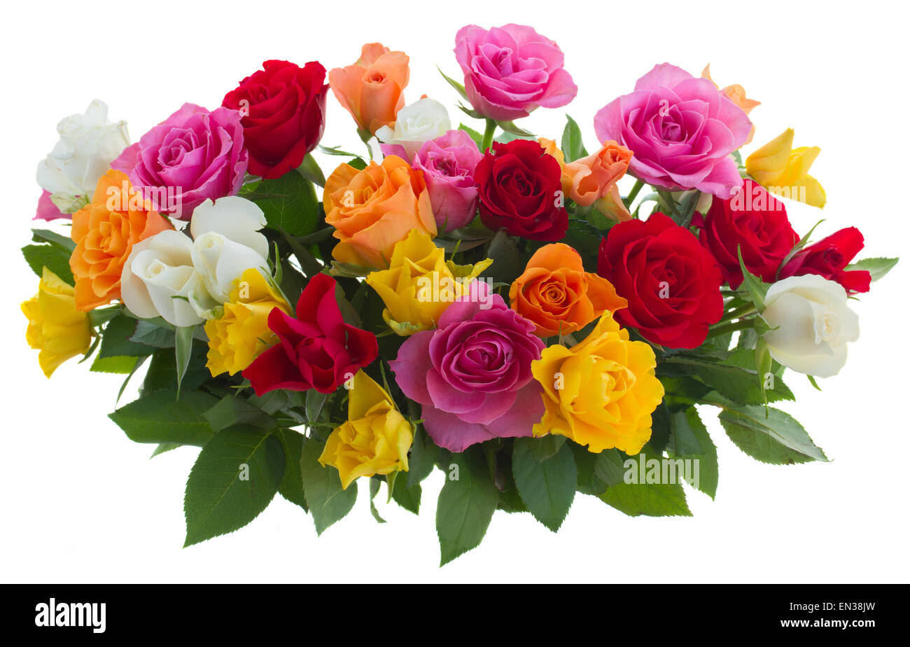 bouquet of fresh roses Stock Photo - Alamy