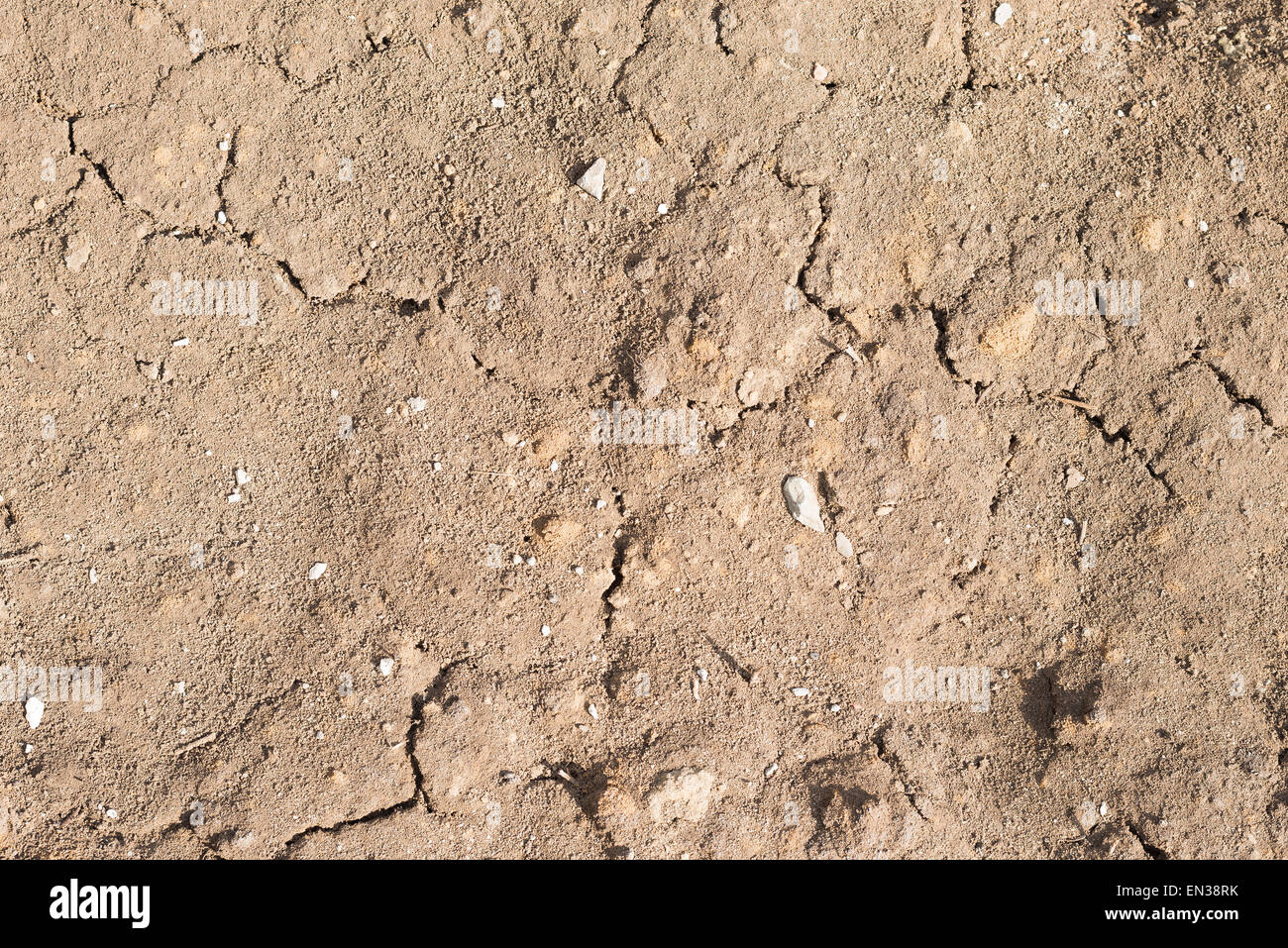Brown ground with cracks Stock Photo - Alamy