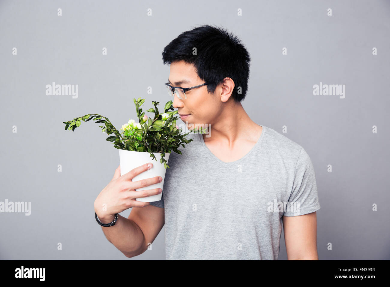 Asian man smelling flowers in a pot over gray background Stock Photo ...