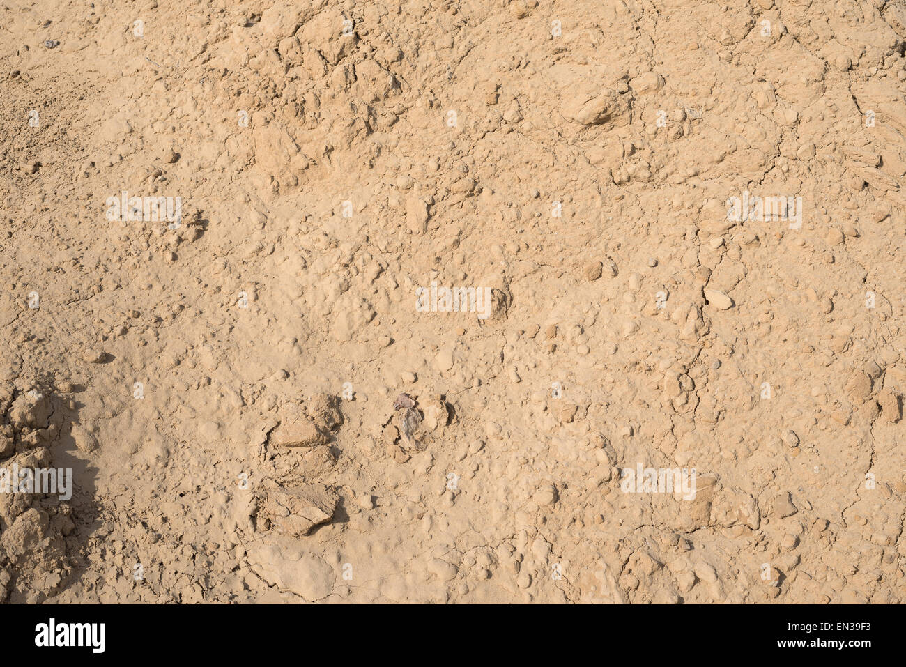 Ground texture hi-res stock photography and images - Alamy