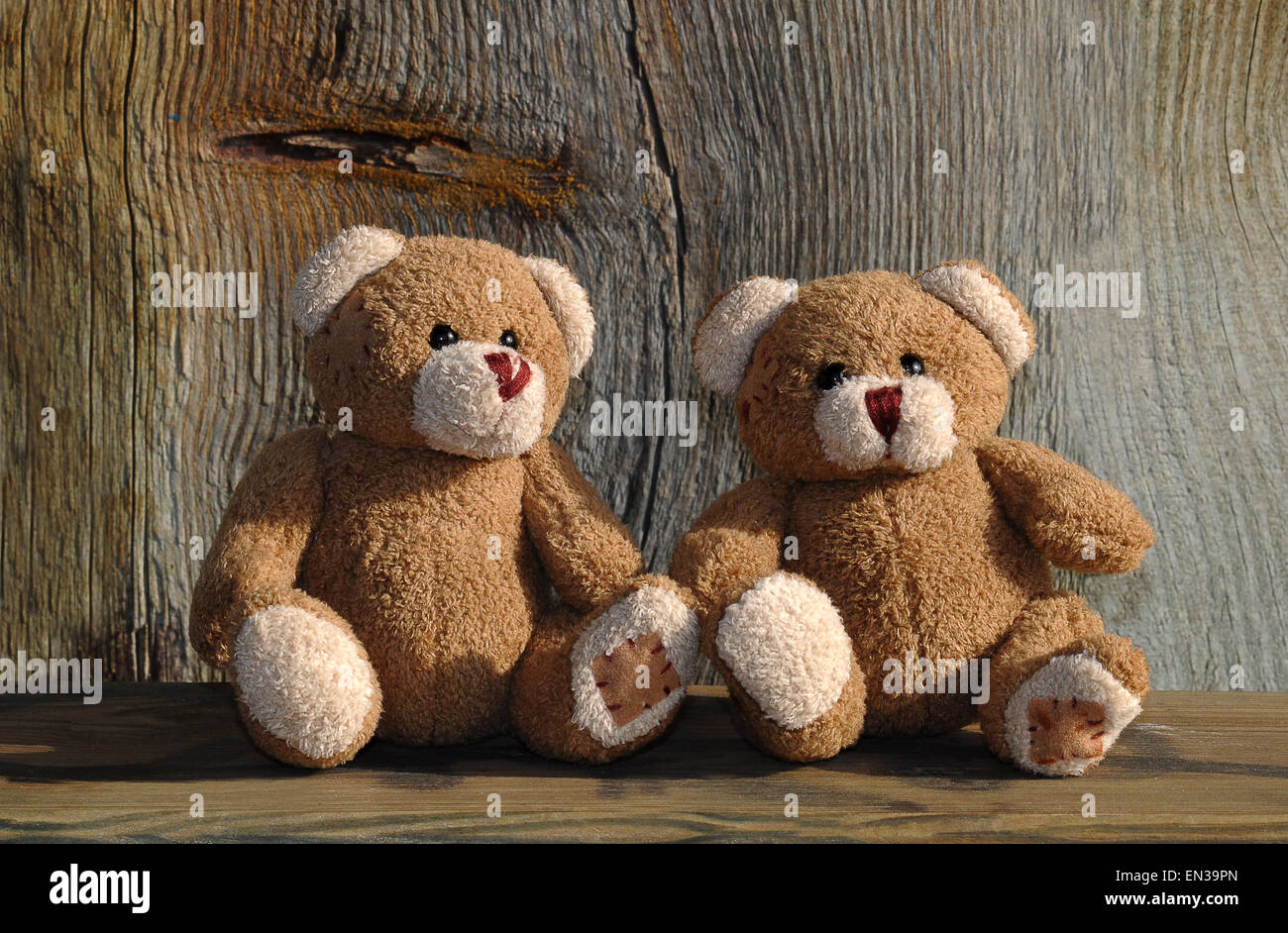 Two teddy bears on a wooden bench and wood behind Stock Photo - Alamy