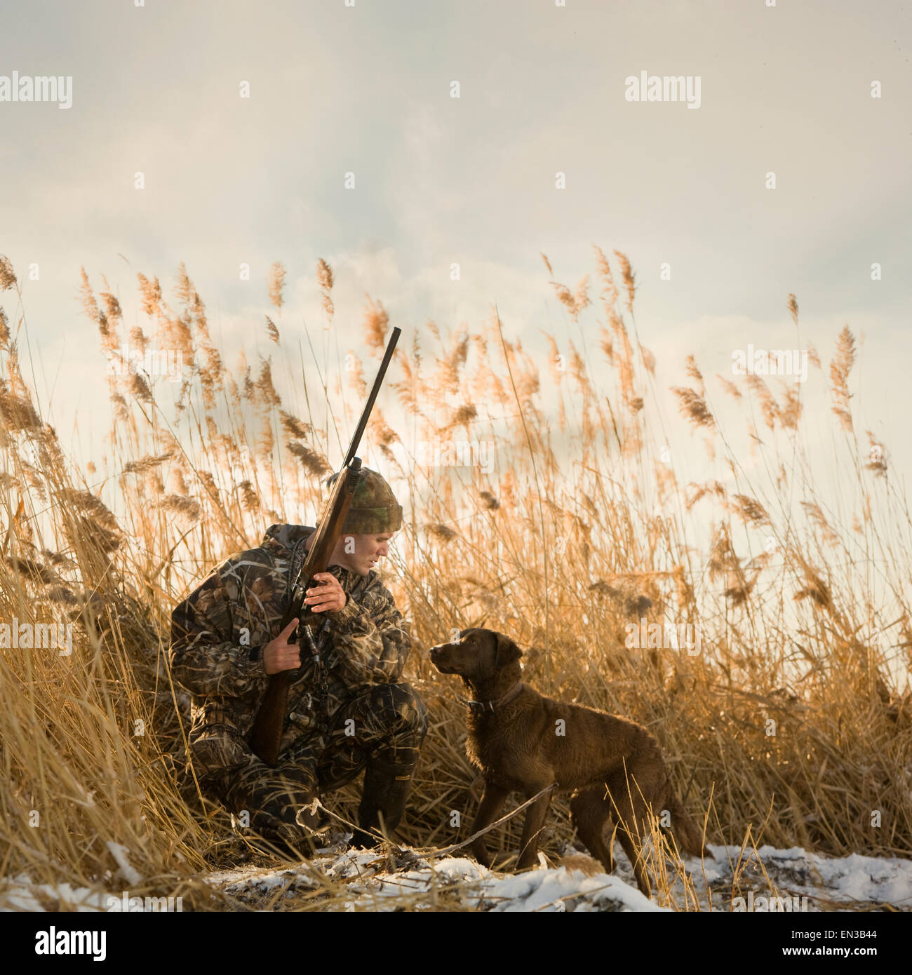 man and his dog duck hunting Stock Photo - Alamy