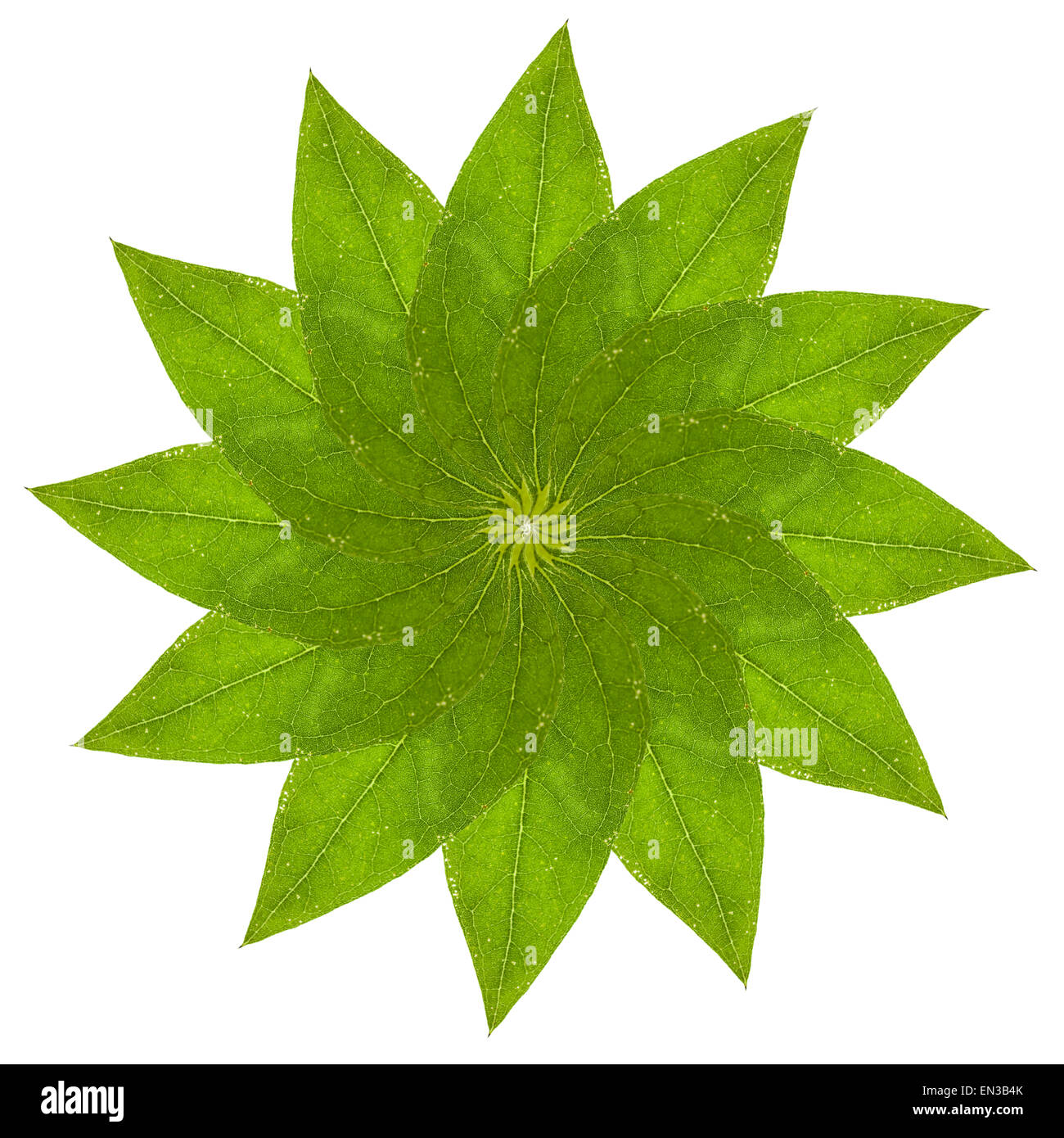 Beauty in green Cut Out Stock Images & Pictures - Alamy