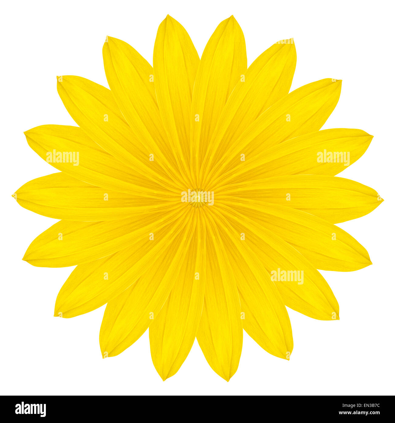 Yellow flower on white background Stock Photo - Alamy