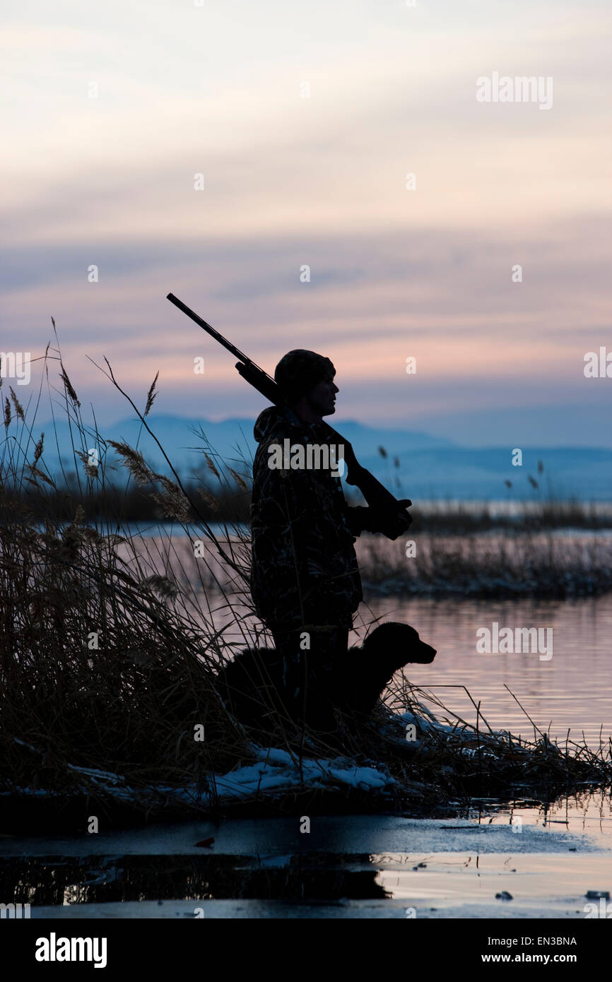 man and his dog duck hunting Stock Photo - Alamy