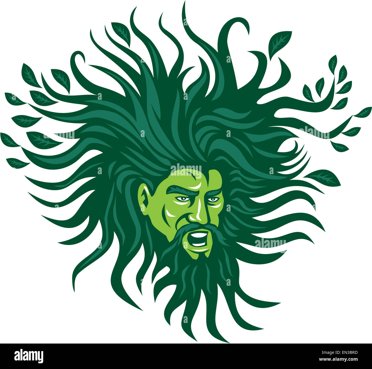 Illustration of a Green Man head face with flowing hair and leaves ...