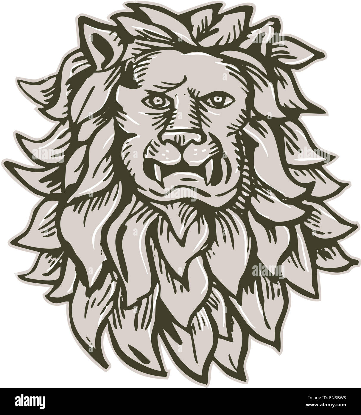 Angry lion drawing hi-res stock photography and images - Alamy