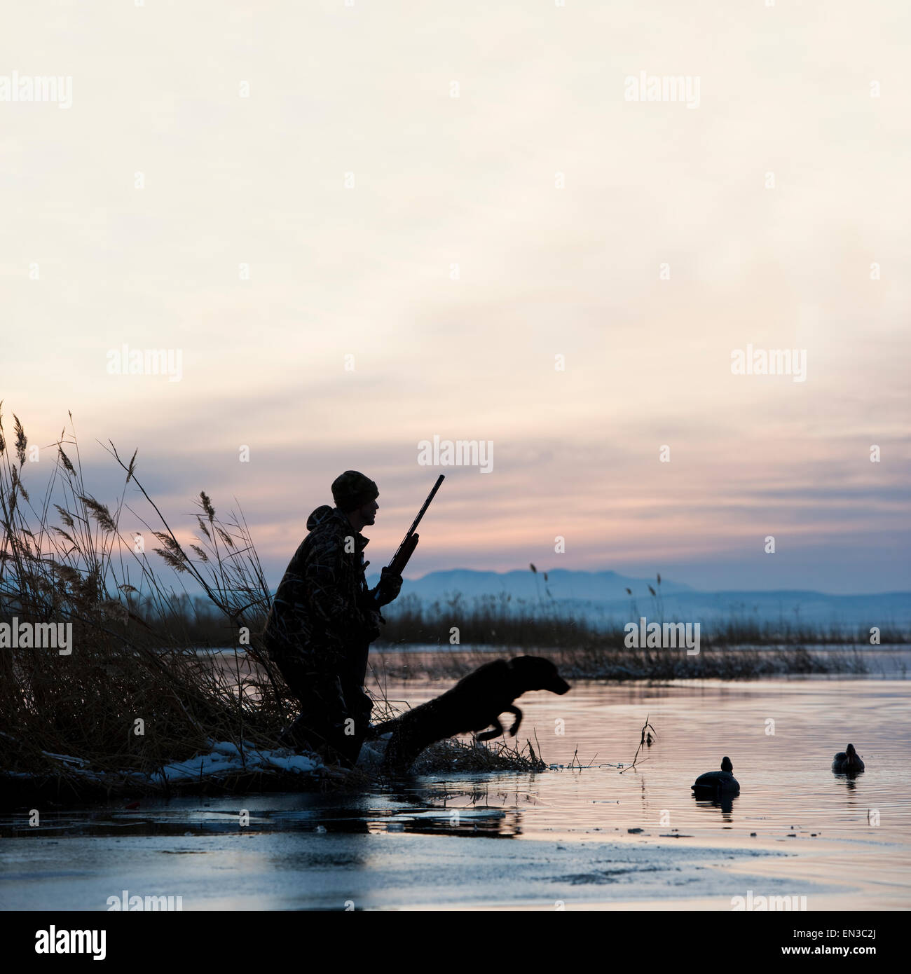 man out hunting with his dog Stock Photo - Alamy
