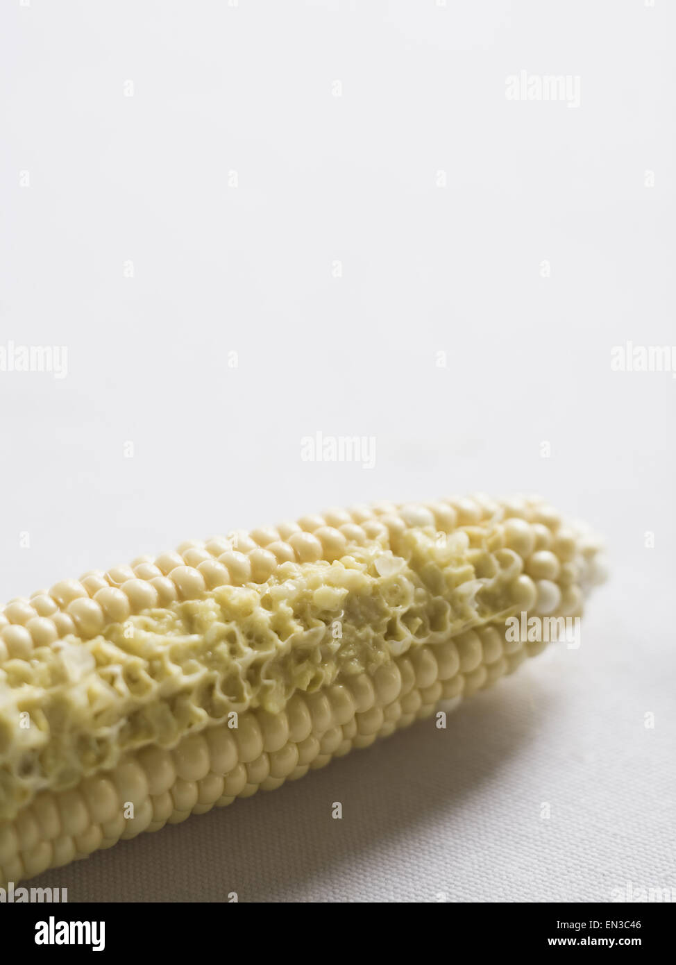 Vegetable stock corn cobs or corn on the cob hi-res stock photography ...