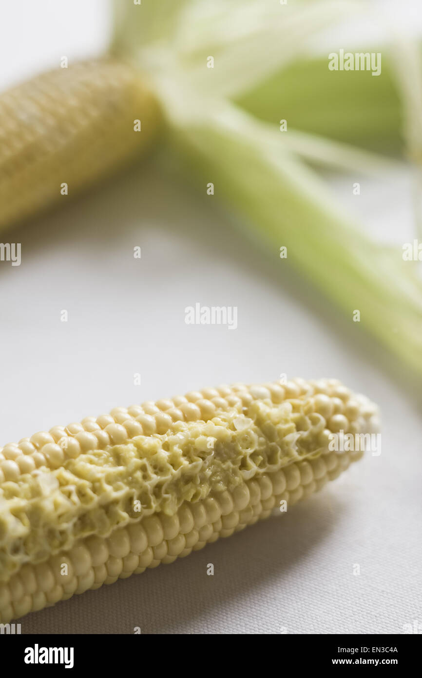 Vegetable stock corn cobs or corn on the cob hi-res stock photography ...