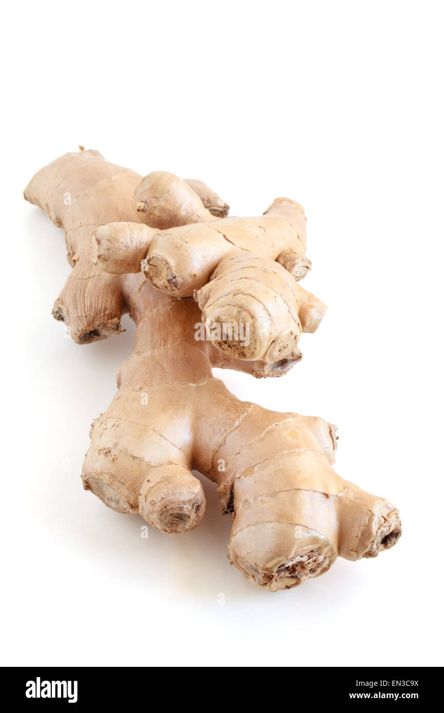 Vegetable ginger roots hi-res stock photography and images - Alamy
