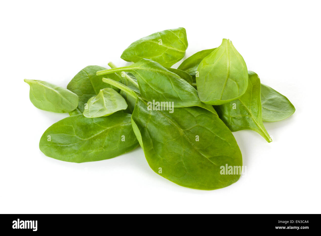Baby herb Cut Out Stock Images & Pictures - Alamy