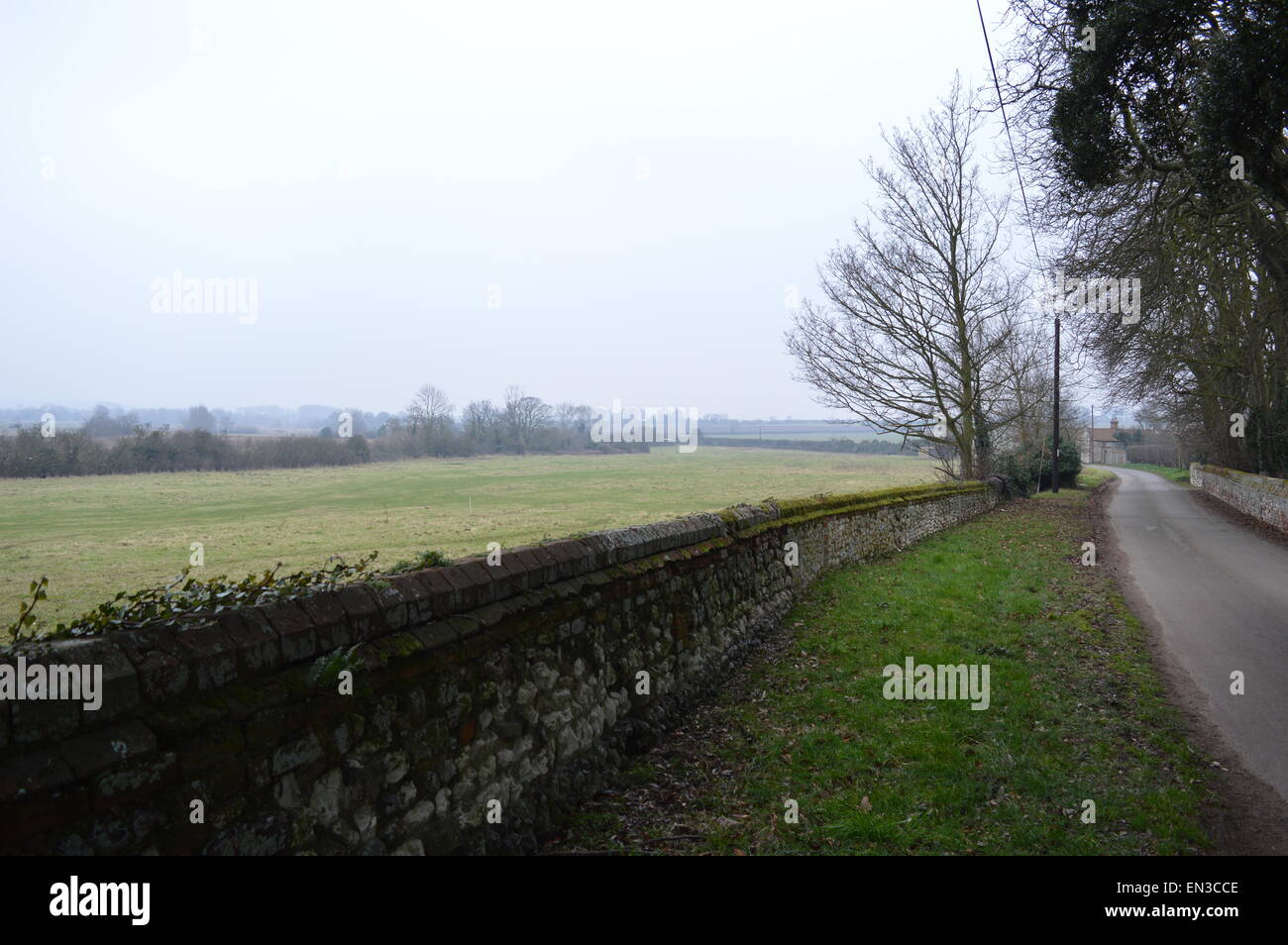 A cold, misty landscape of a Norfolk field in winter Stock Photo - Alamy