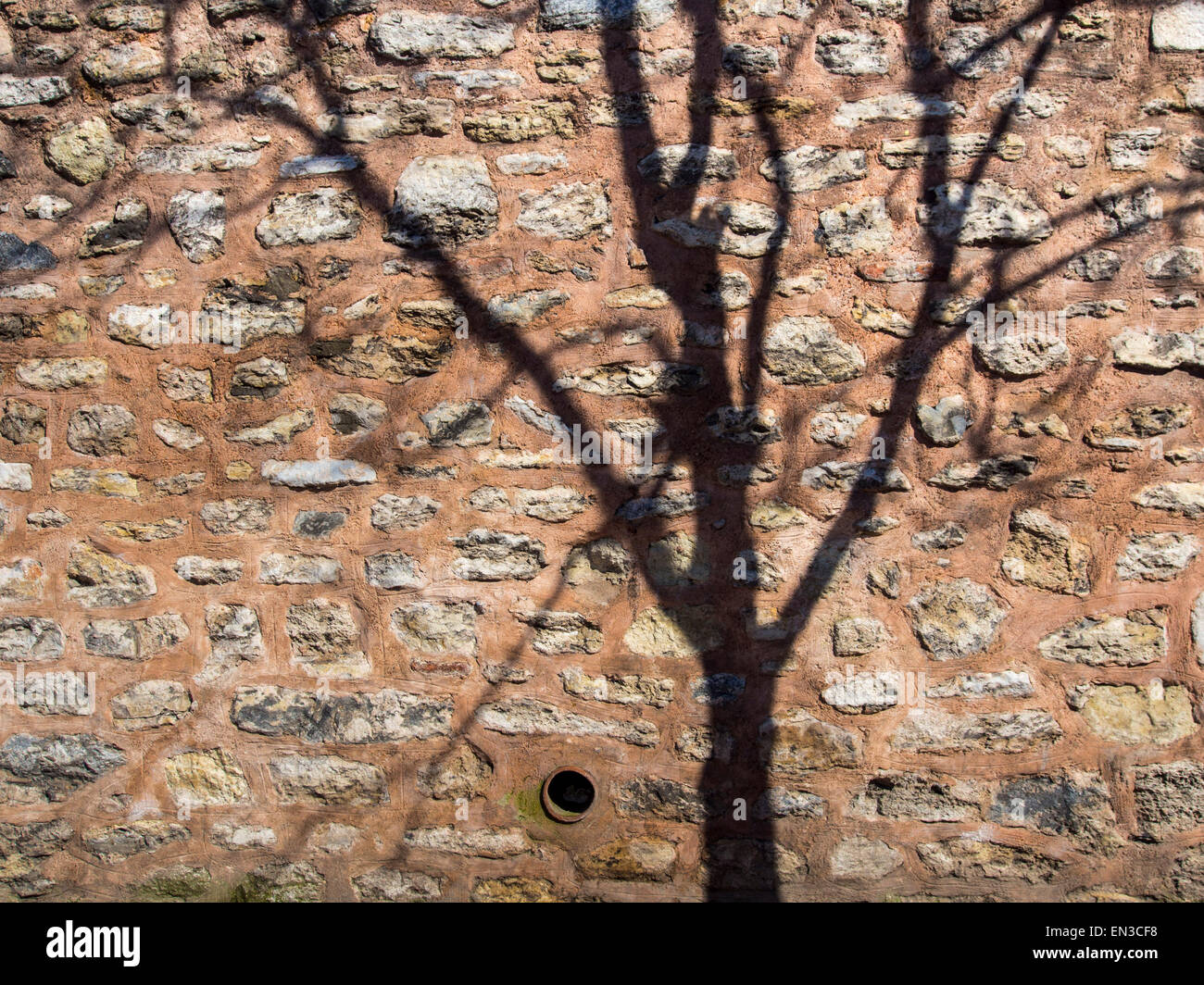 Leave shadows hi-res stock photography and images - Alamy