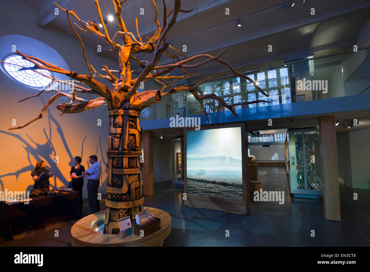 Square trunk tree hi-res stock photography and images - Alamy