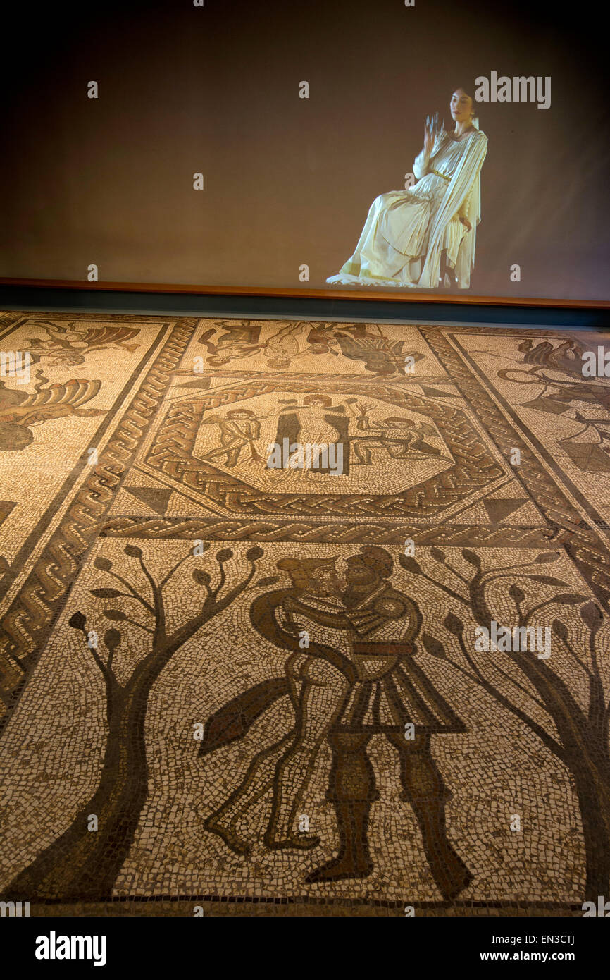 UK, England, Somerset, Taunton, Castle, Museum, Low Ham Mosaic, from ...