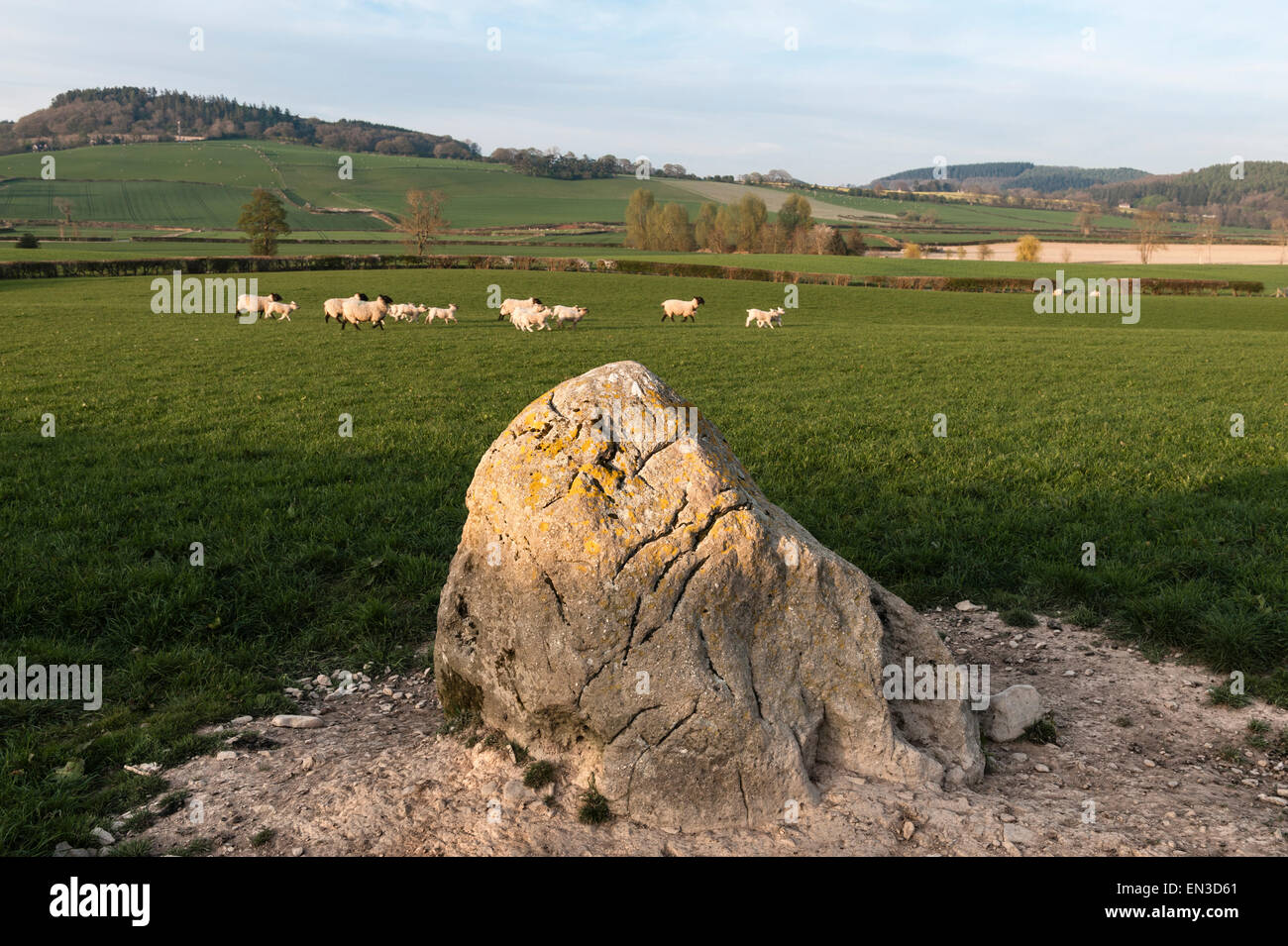 The Knobley Stone (Hoarstone, Oarstone). An early Bronze Age standing ...
